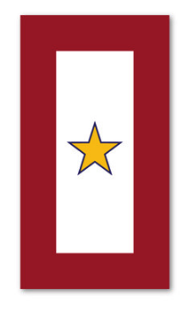 Magnet - Gold Service Star - 1 star – The Flag and Sign Place